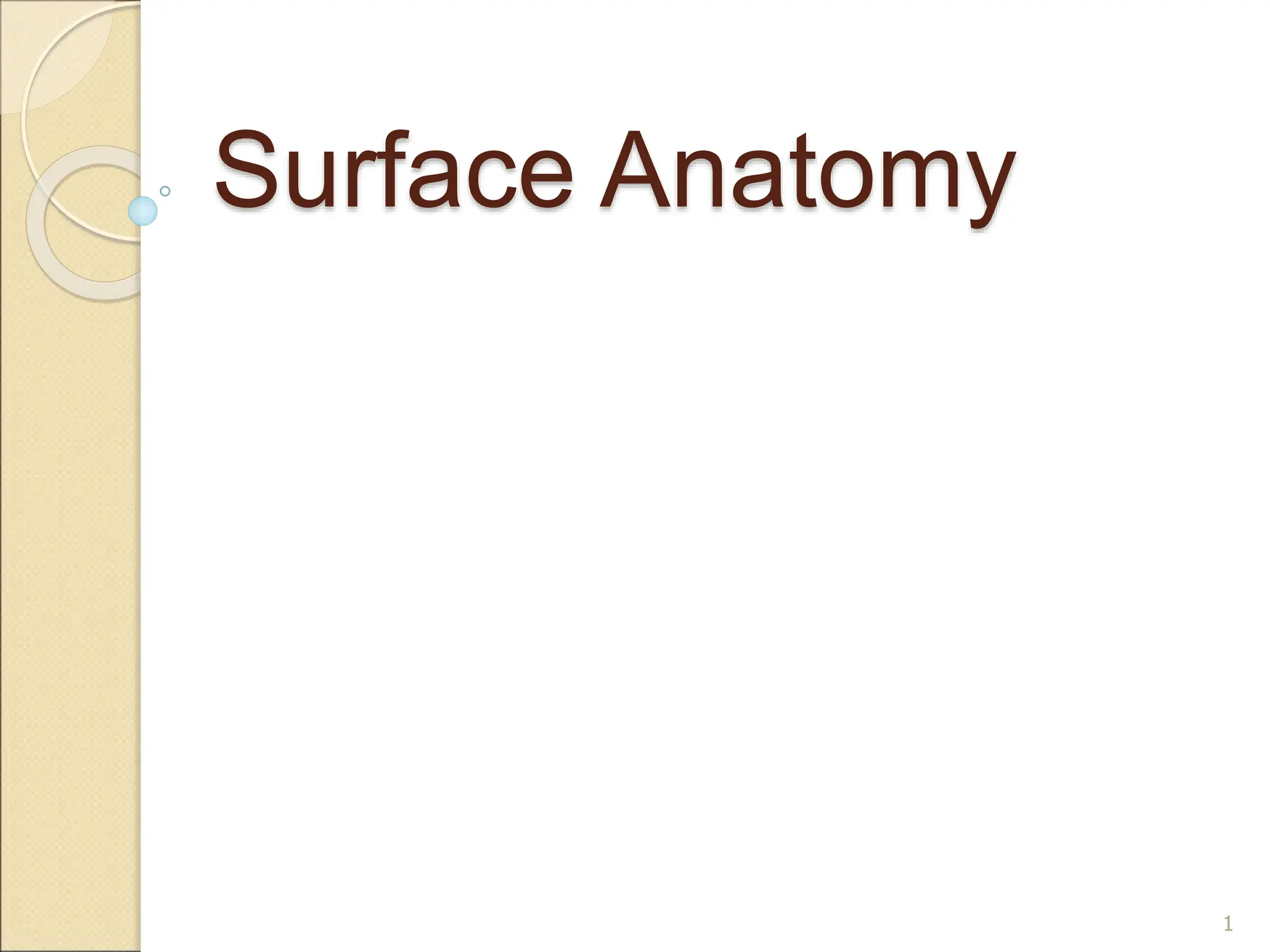 the Surface Anatomy of human body parts.ppt
