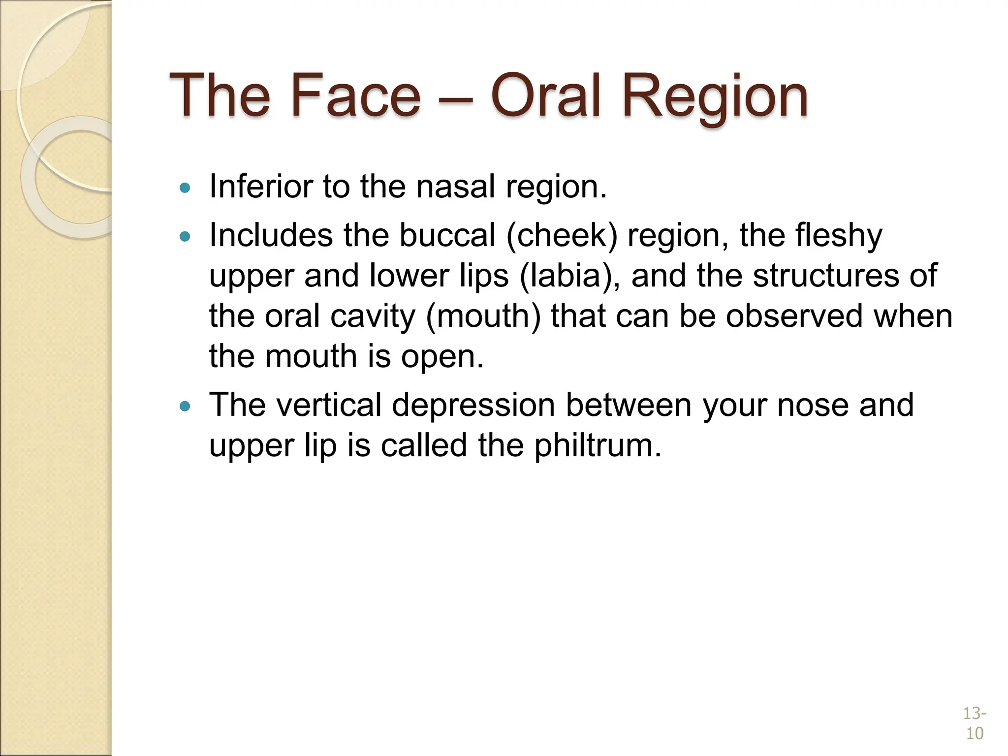 the Surface Anatomy of human body parts.ppt