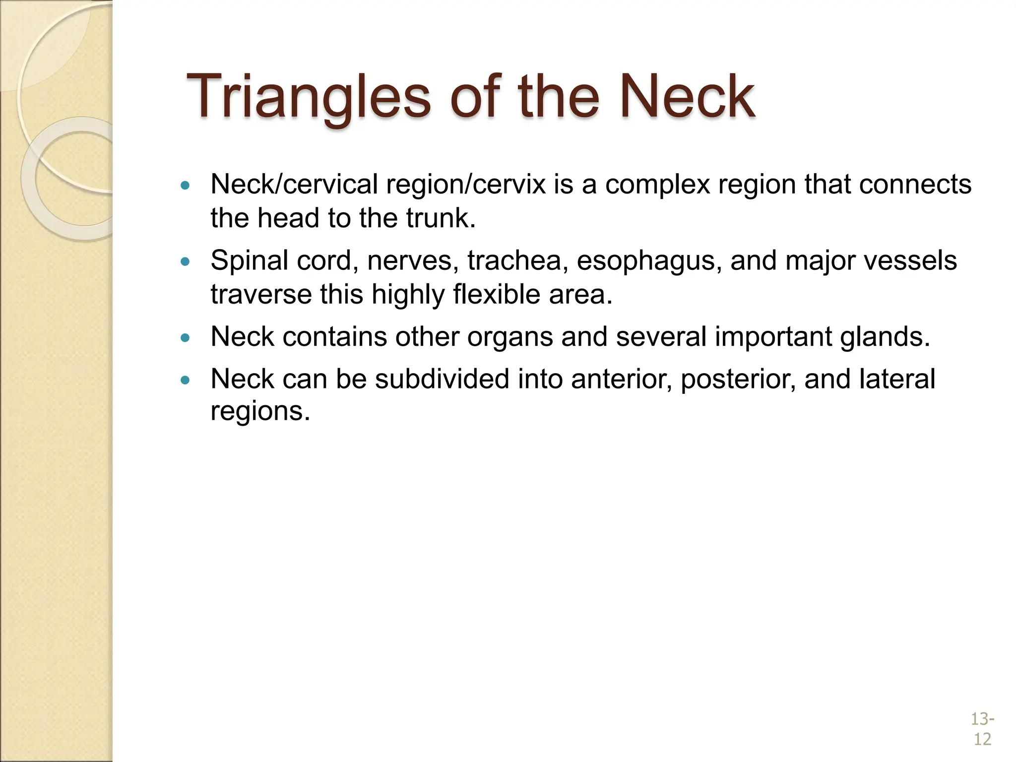 the Surface Anatomy of human body parts.ppt