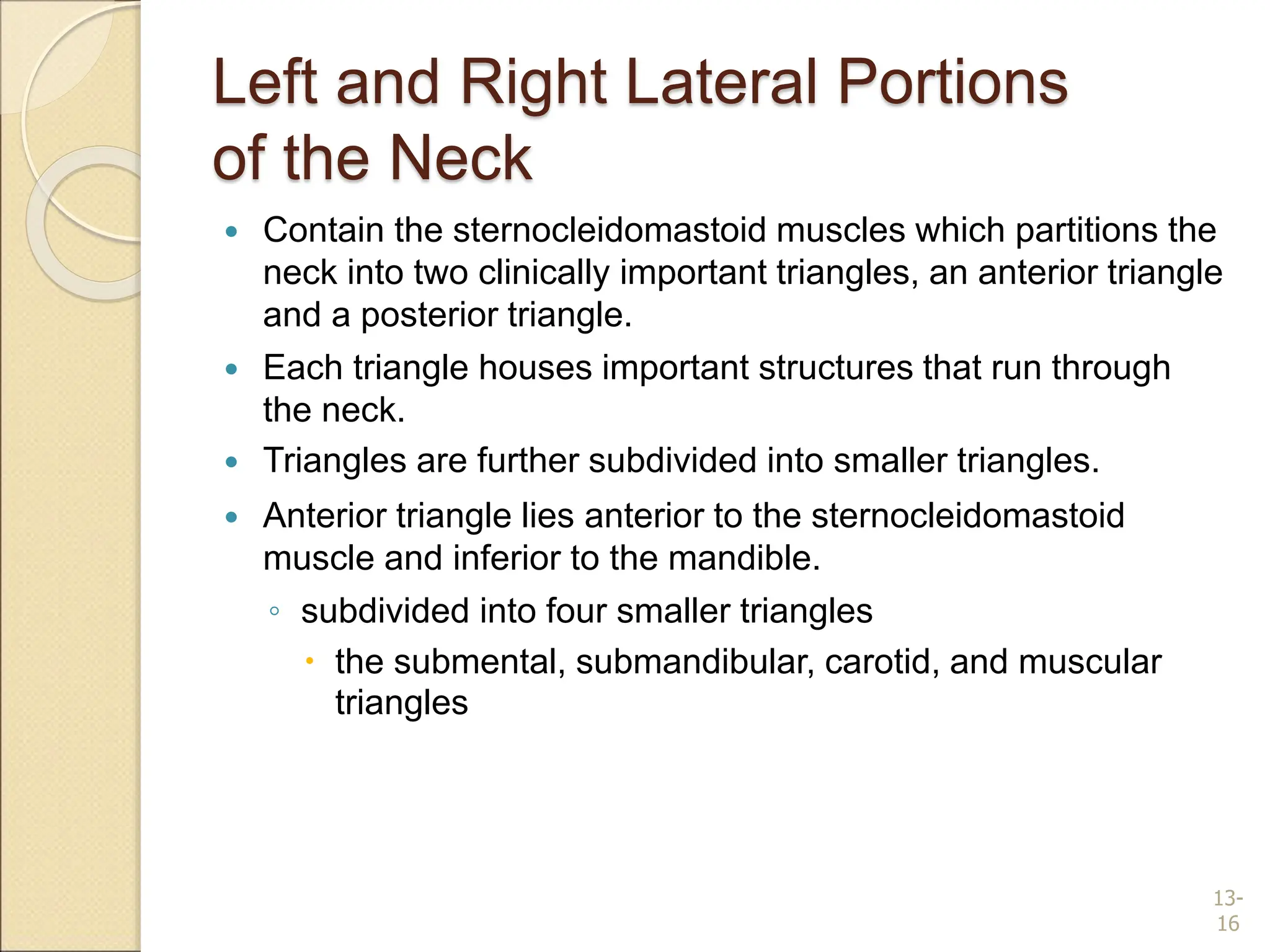 the Surface Anatomy of human body parts.ppt