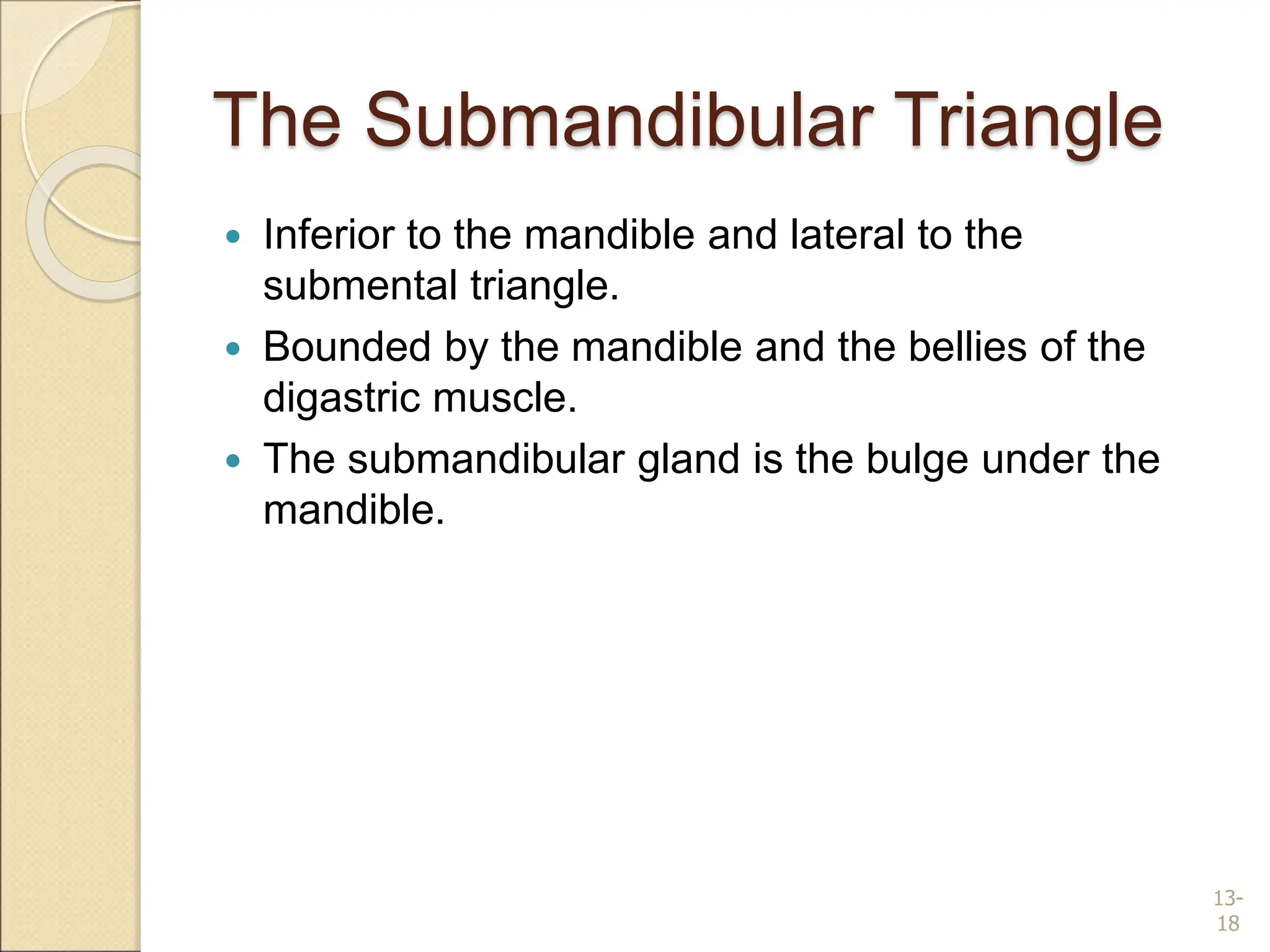 the Surface Anatomy of human body parts.ppt