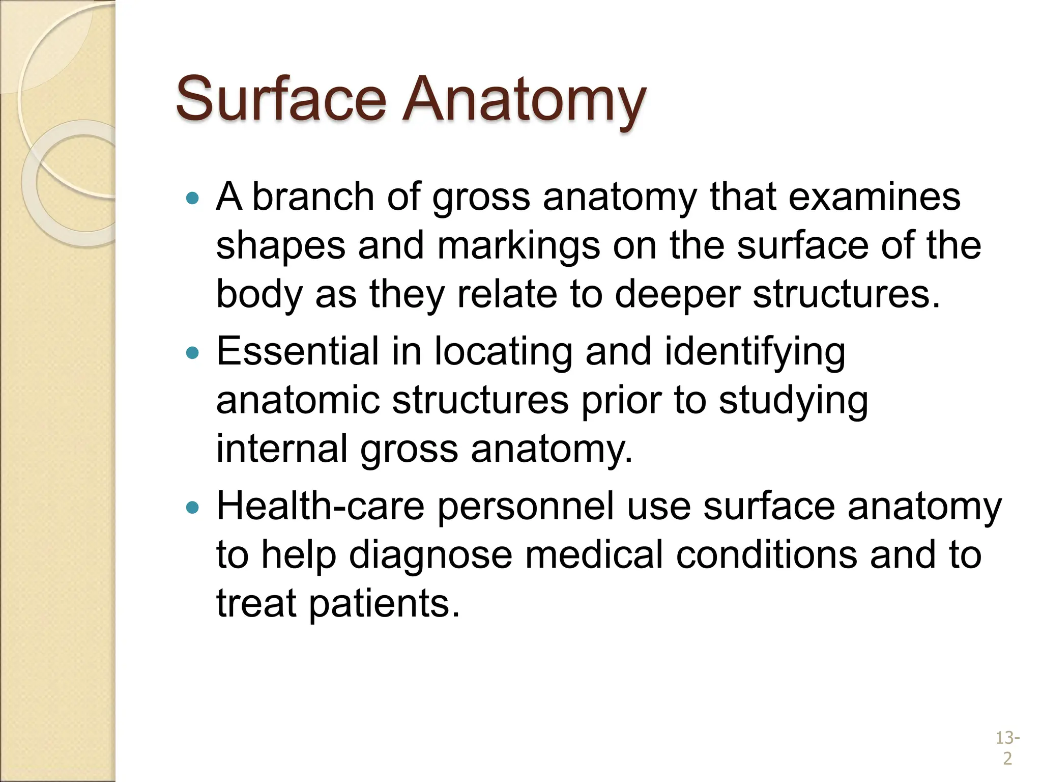 the Surface Anatomy of human body parts.ppt