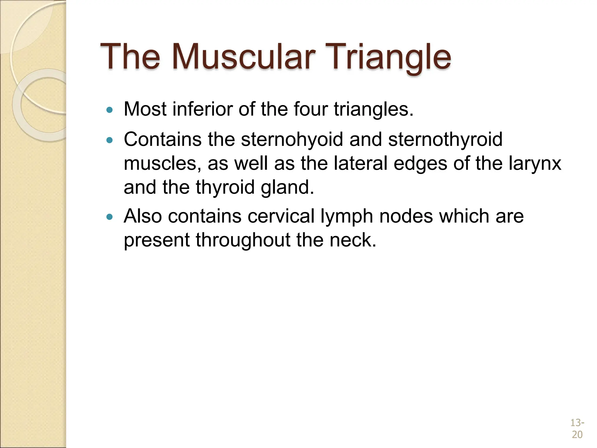 the Surface Anatomy of human body parts.ppt