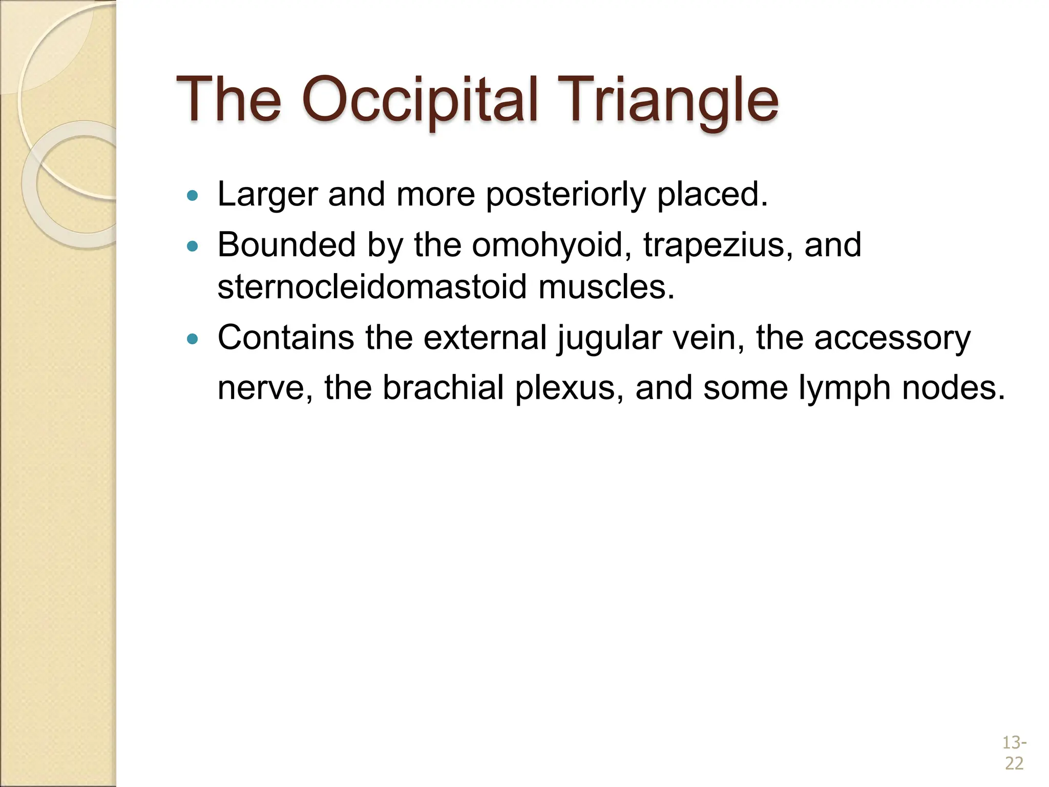 the Surface Anatomy of human body parts.ppt