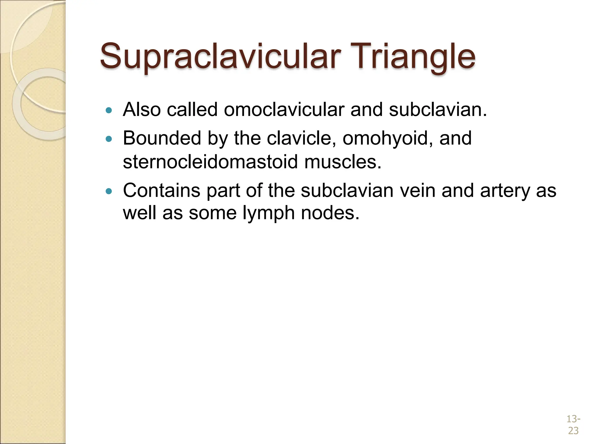 the Surface Anatomy of human body parts.ppt