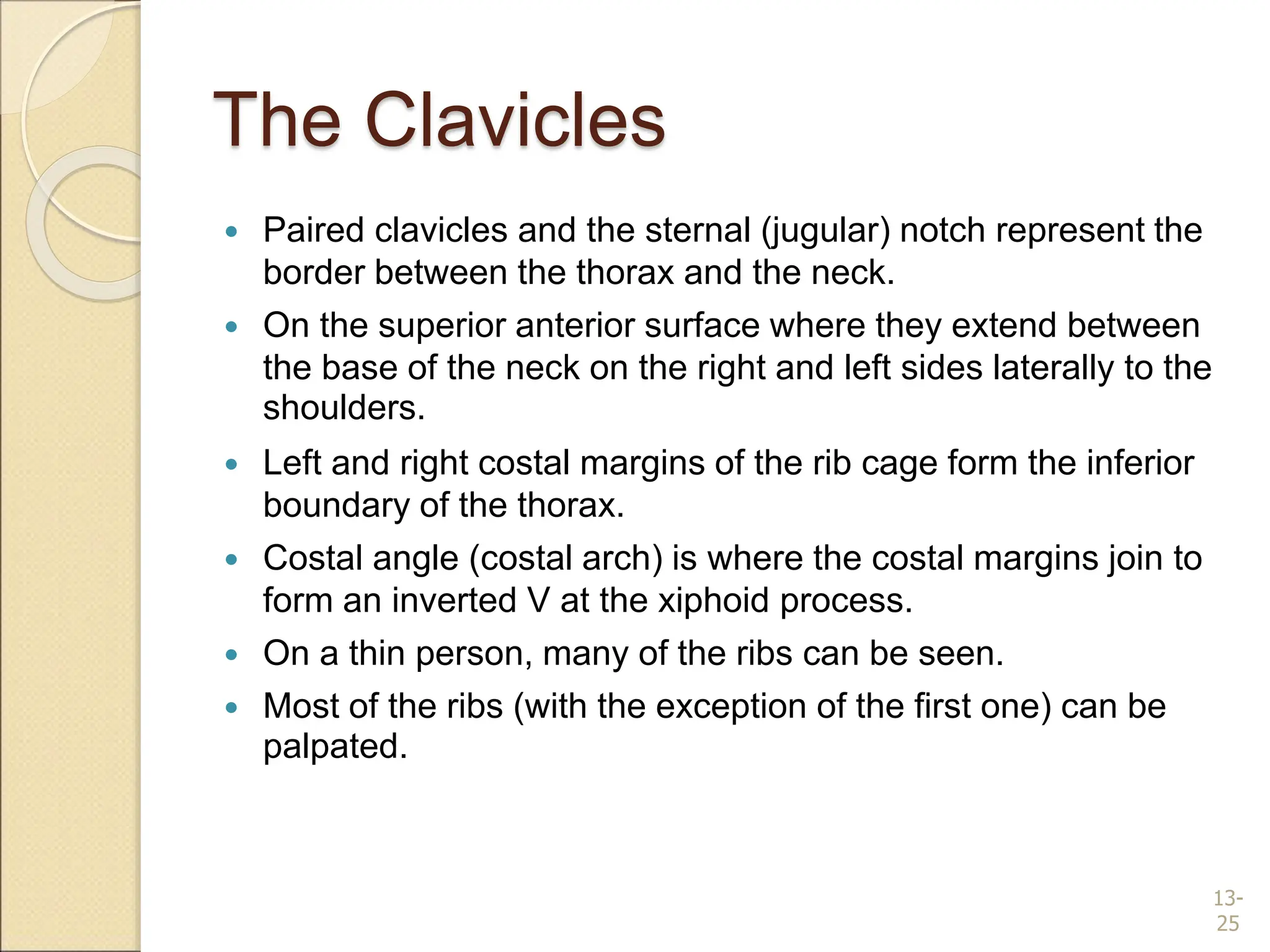 the Surface Anatomy of human body parts.ppt