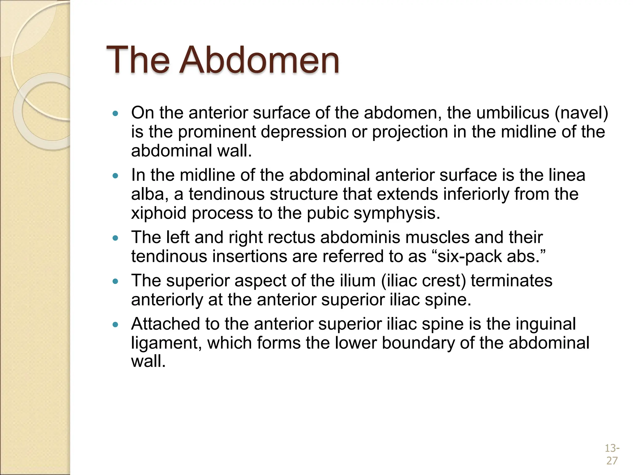 the Surface Anatomy of human body parts.ppt