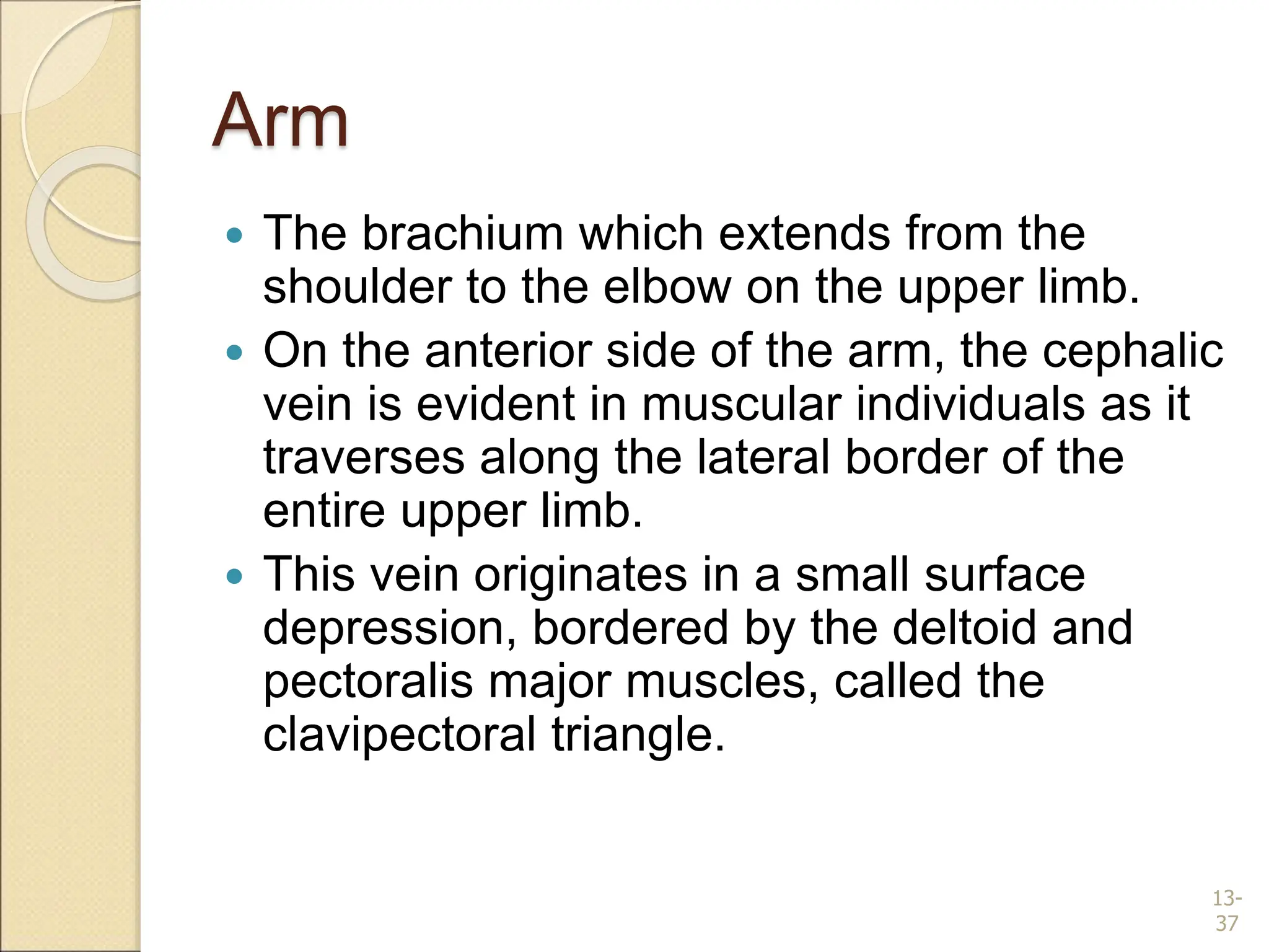 the Surface Anatomy of human body parts.ppt