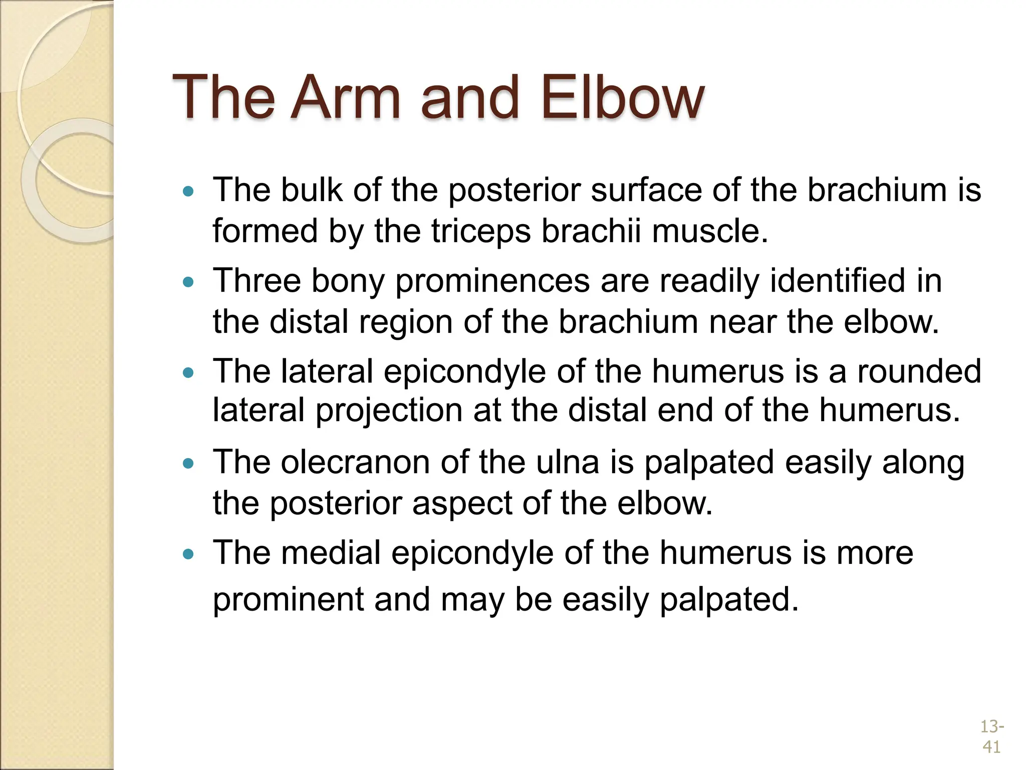 the Surface Anatomy of human body parts.ppt