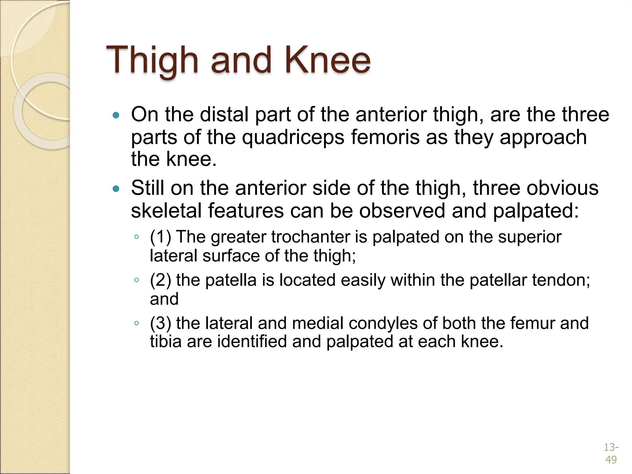the Surface Anatomy of human body parts.ppt