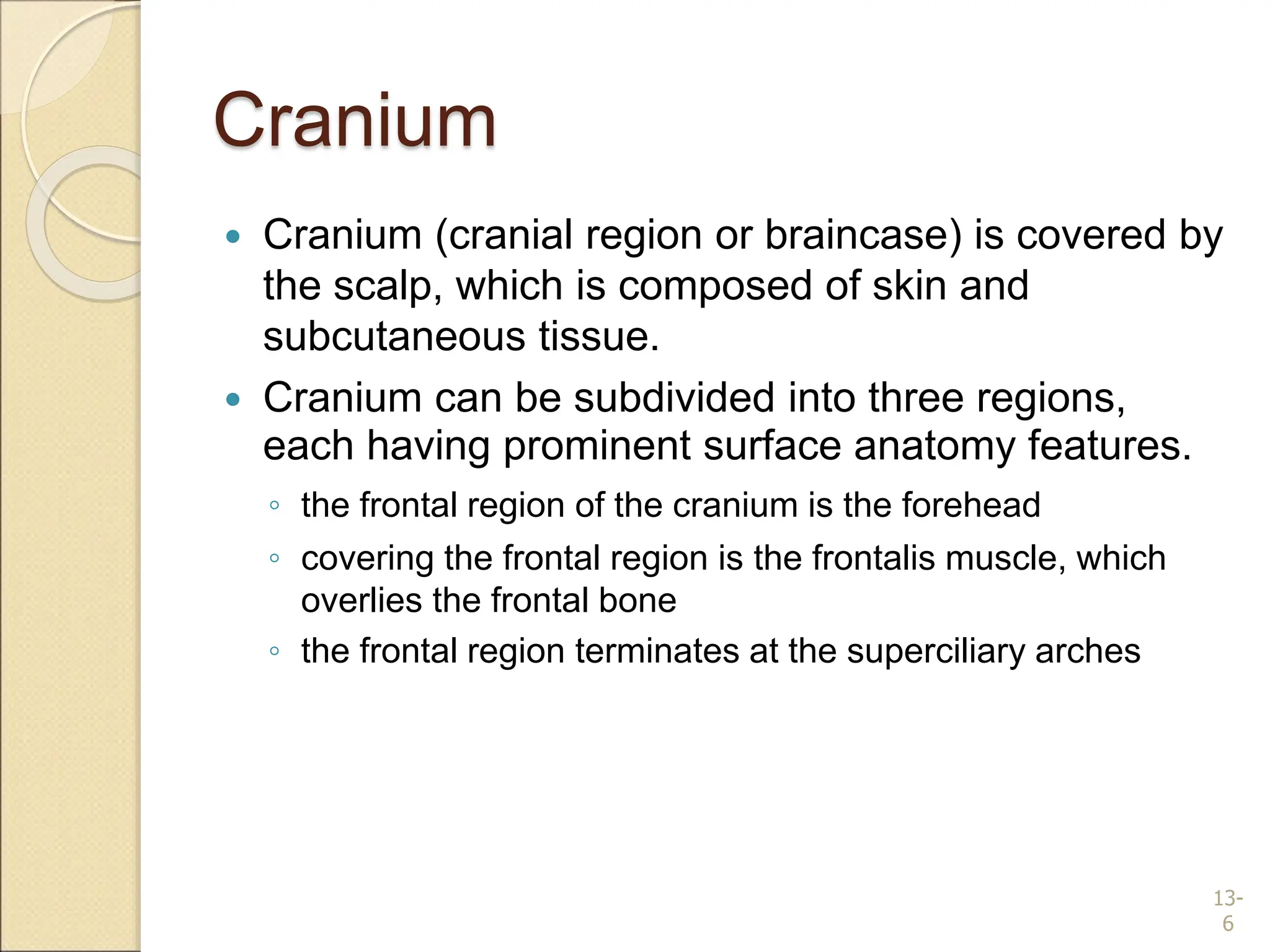 the Surface Anatomy of human body parts.ppt