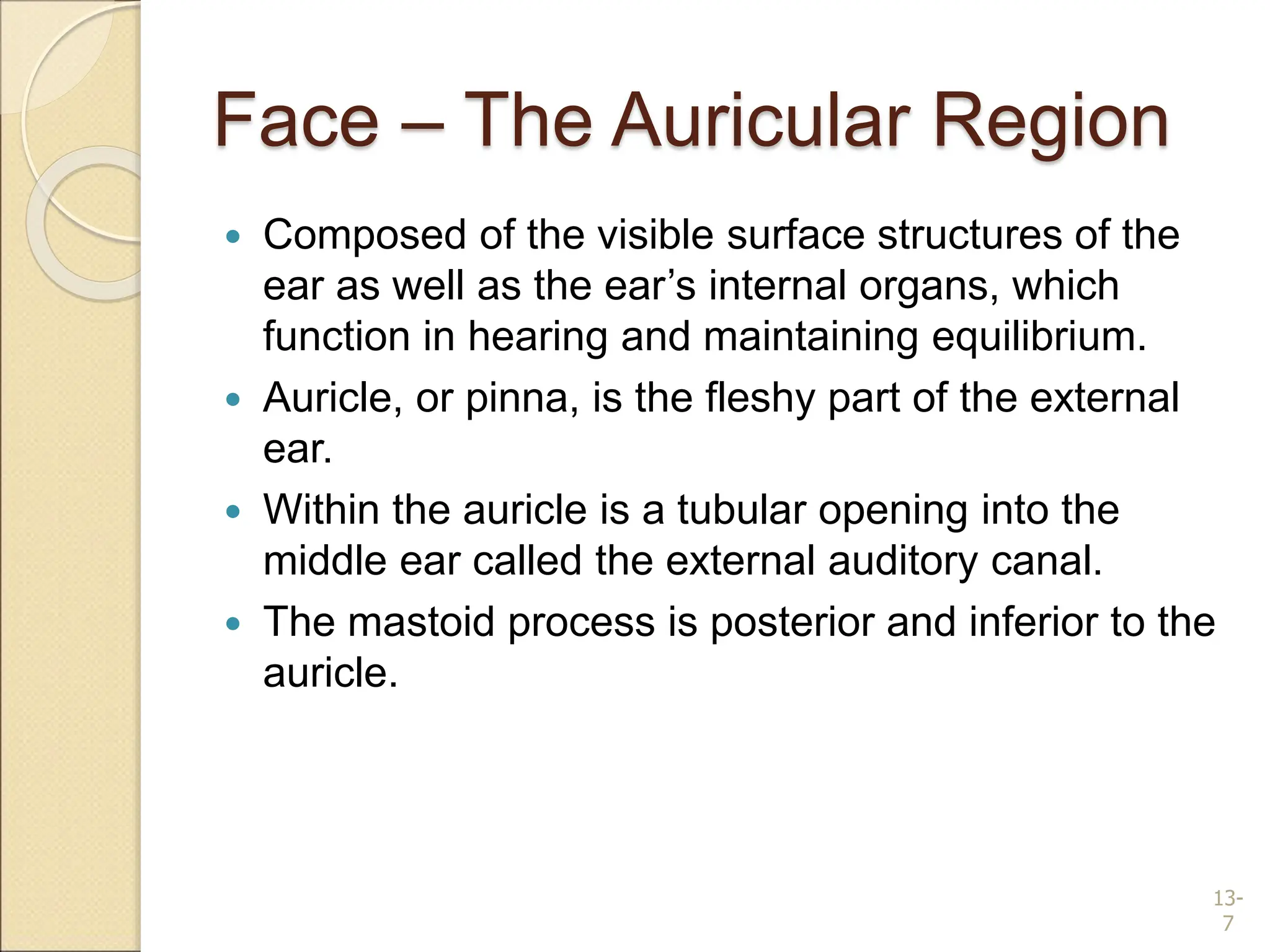 the Surface Anatomy of human body parts.ppt