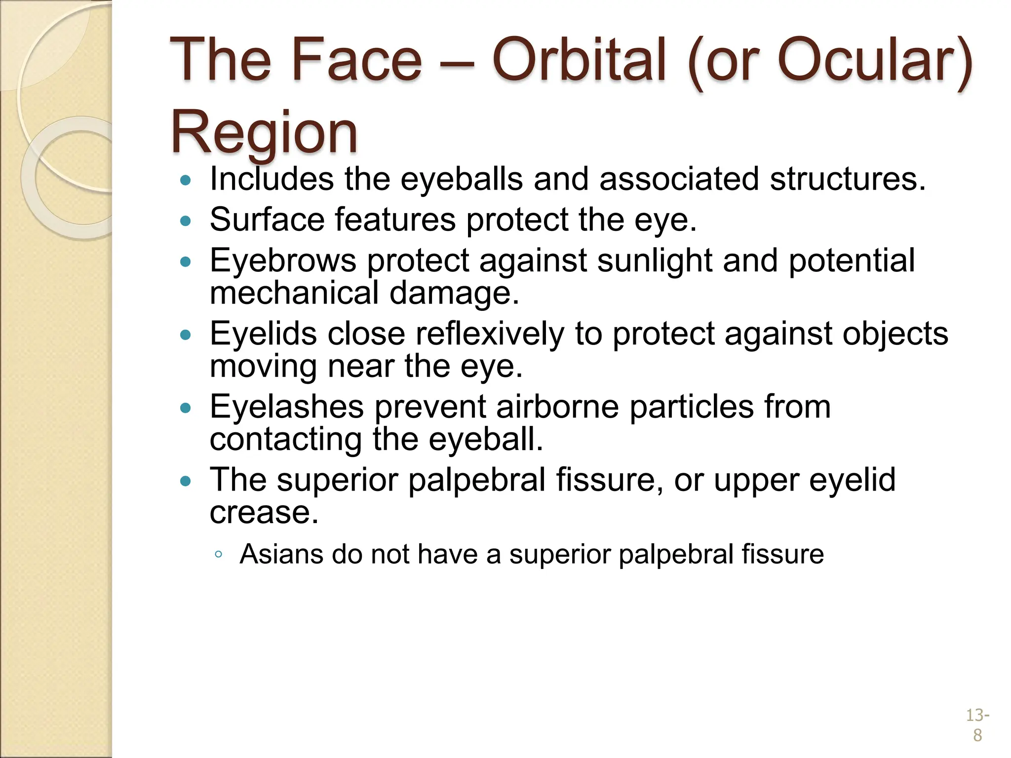 the Surface Anatomy of human body parts.ppt