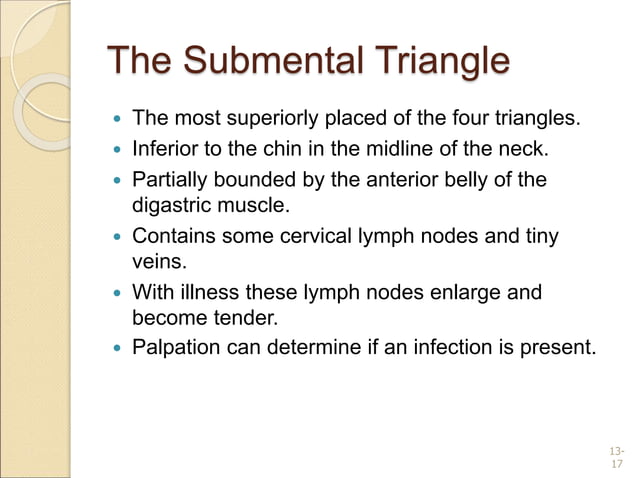the Surface Anatomy of human body parts.ppt
