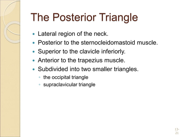 the Surface Anatomy of human body parts.ppt