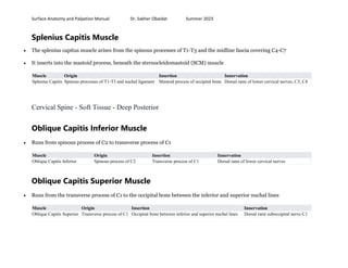 Surface anatomy and palpation.docx