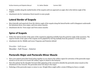 Surface anatomy and palpation.docx