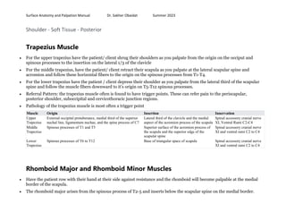 Surface anatomy and palpation.docx
