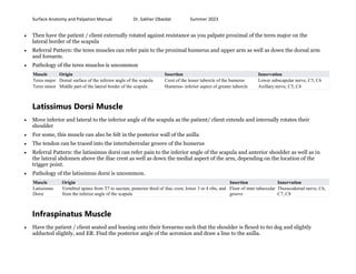 Surface anatomy and palpation.docx