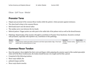 Surface anatomy and palpation.docx