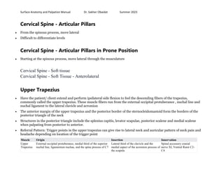 Surface anatomy and palpation.docx