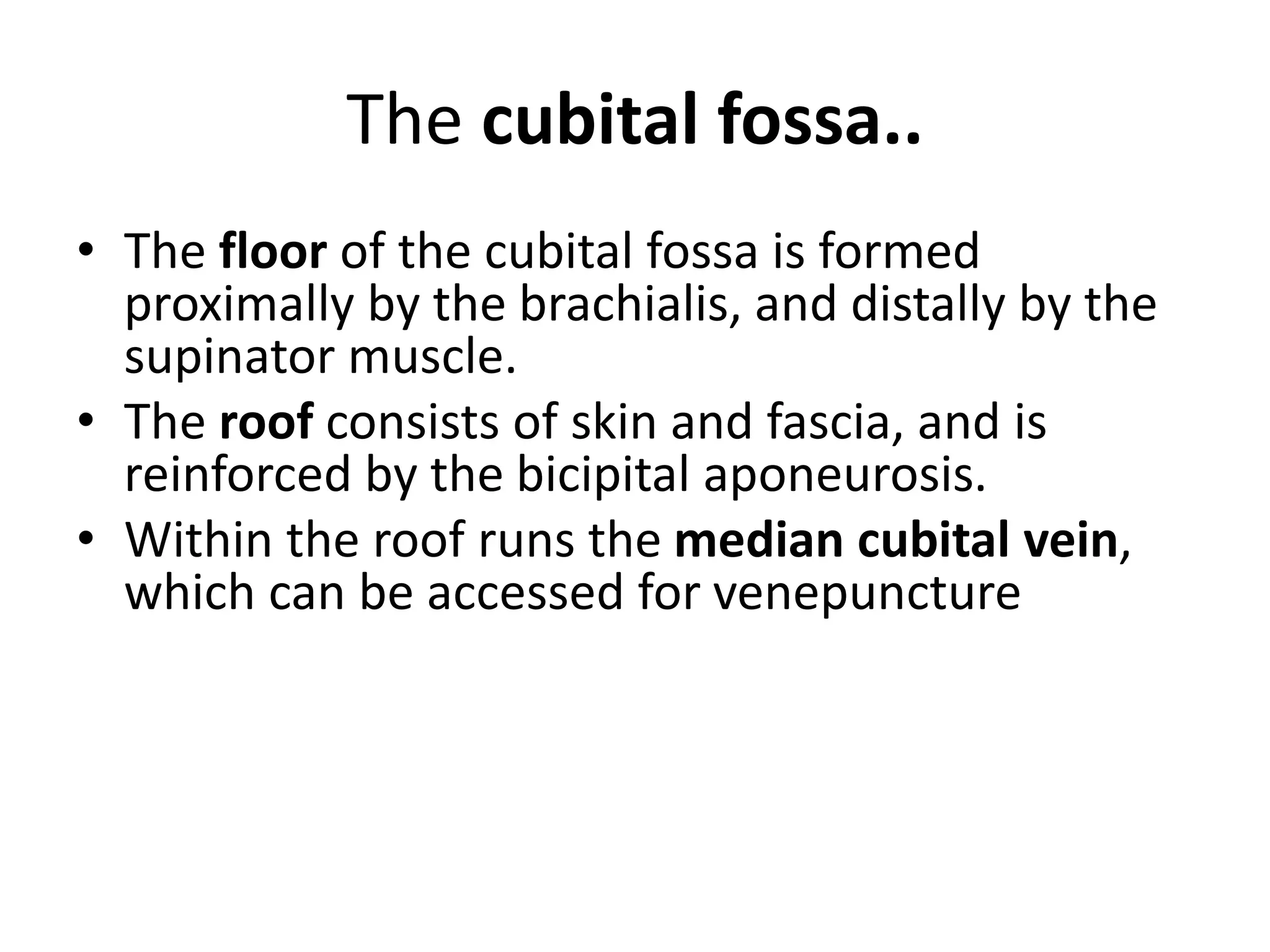 Surface anatomy areas.pptx