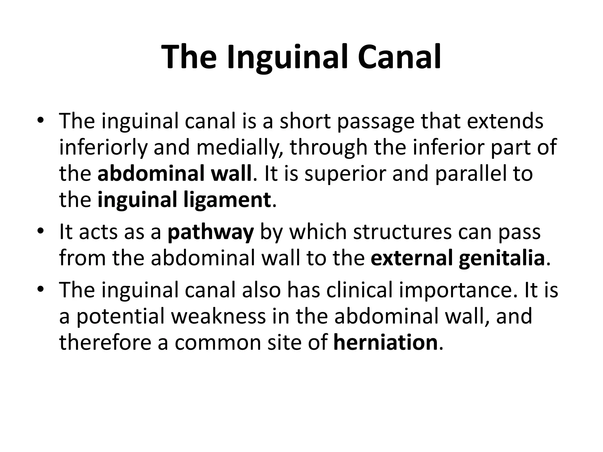 Surface anatomy areas.pptx
