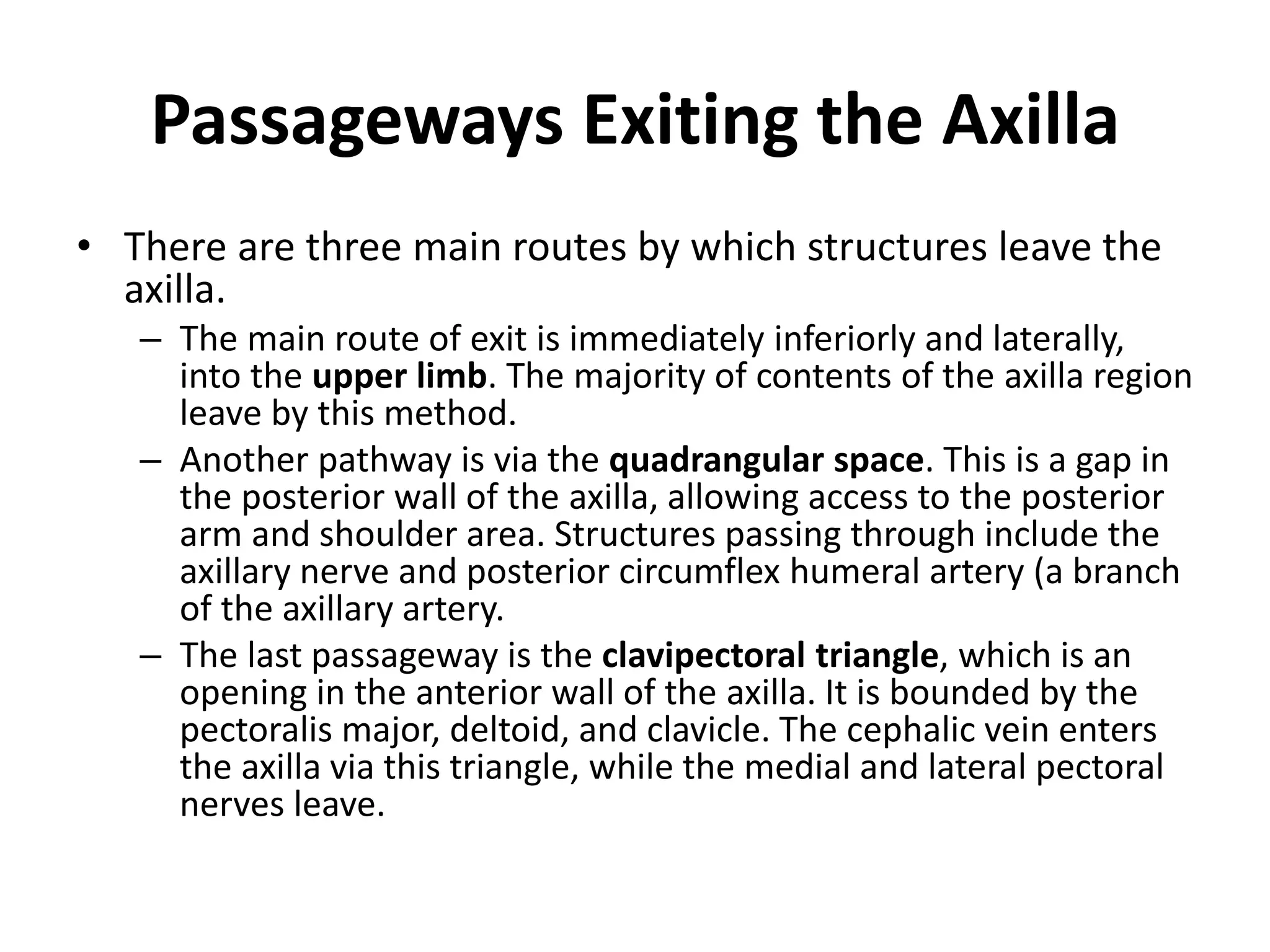 Surface anatomy areas.pptx