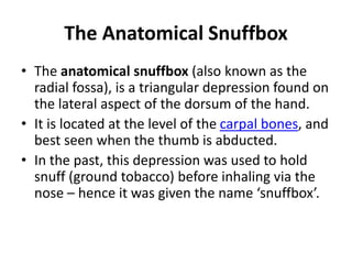 Surface anatomy areas.pptx