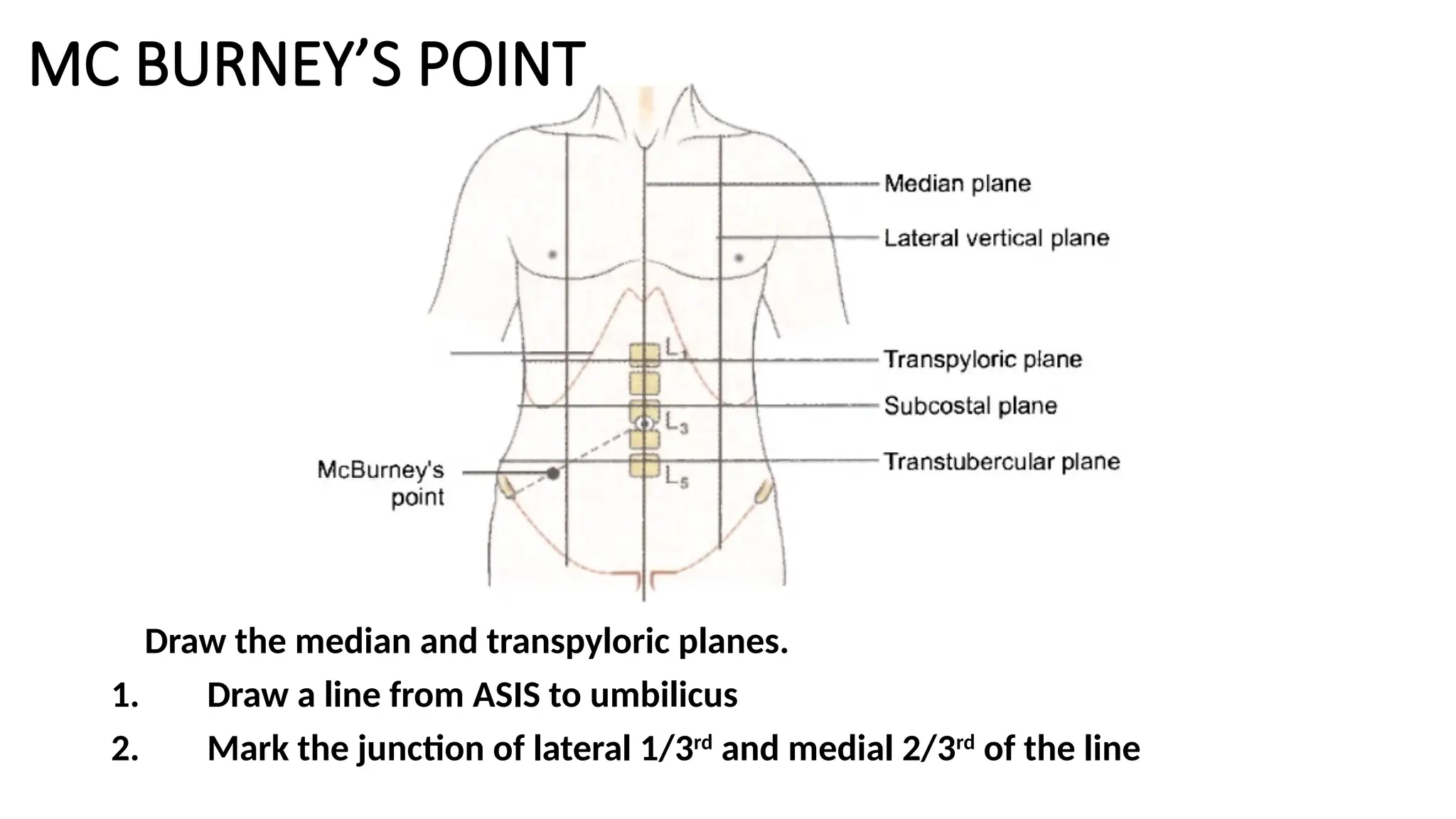SURFACE ANATOMY OF ABDOMEN and pelvis ppt | PPTX