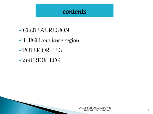 Surface anatomy of lower limb by DR. ZAINAB KHAN | PPT