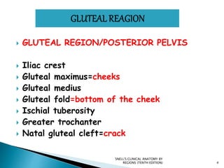 Surface anatomy of lower limb by DR. ZAINAB KHAN | PPTX