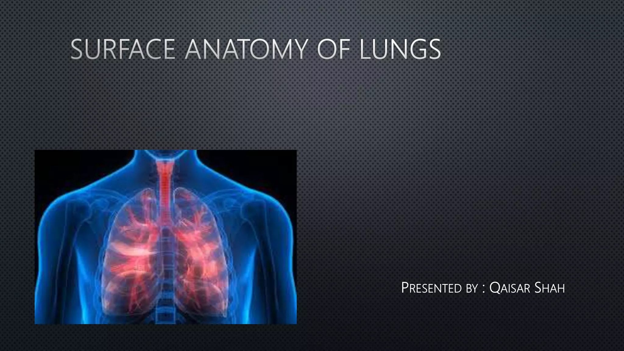 Anatomy Of Lungs Ppt