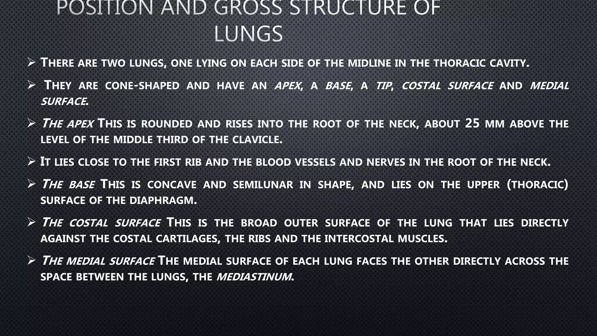 Surface anatomy of lungs | PPTX