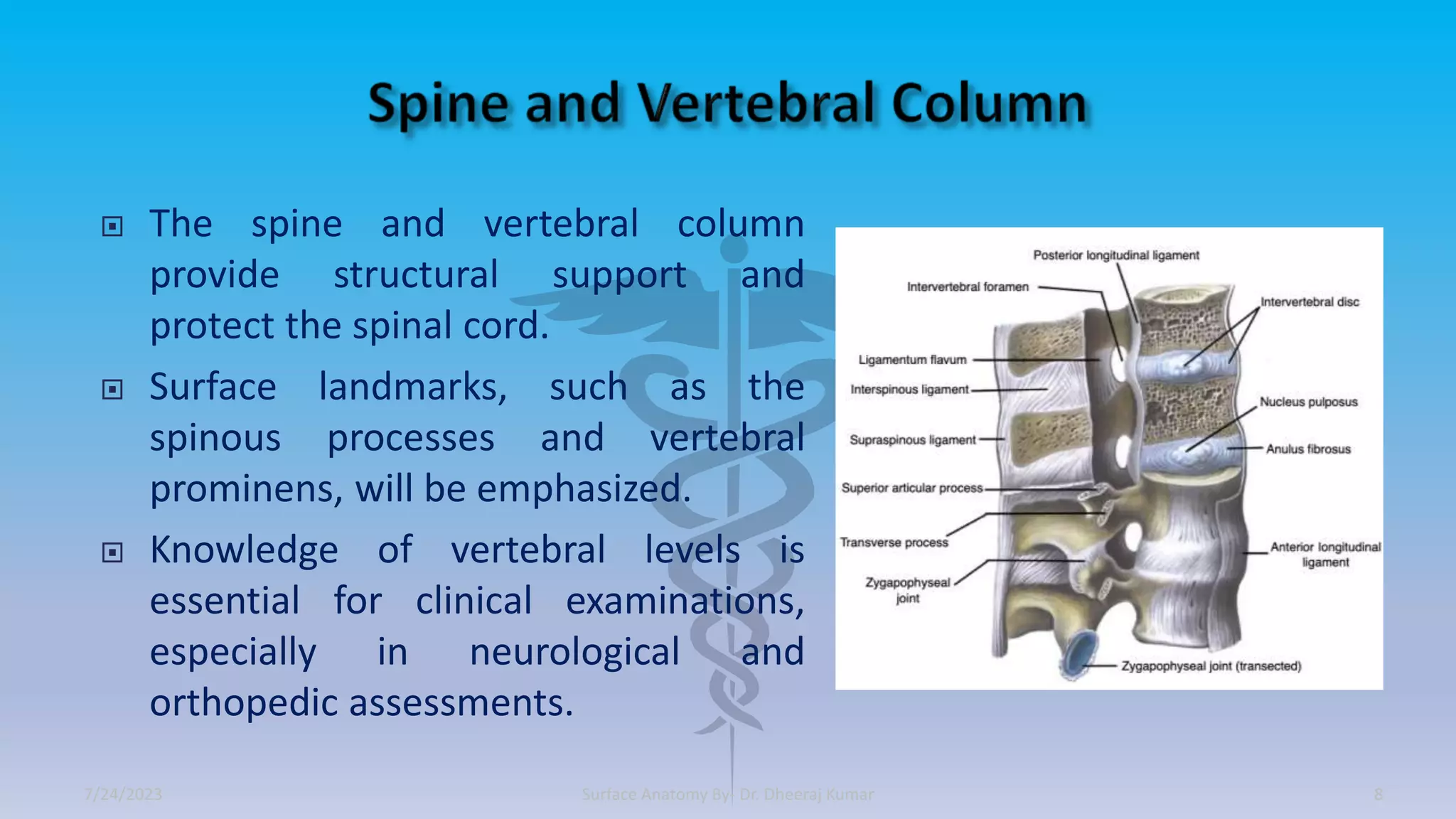 Surface Anatomy of Musculoskeletal, Vascular, and.pptx