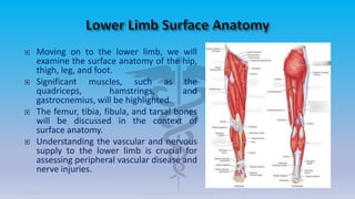 Surface Anatomy of Musculoskeletal, Vascular, and.pptx
