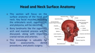 Surface Anatomy of Musculoskeletal, Vascular, and.pptx