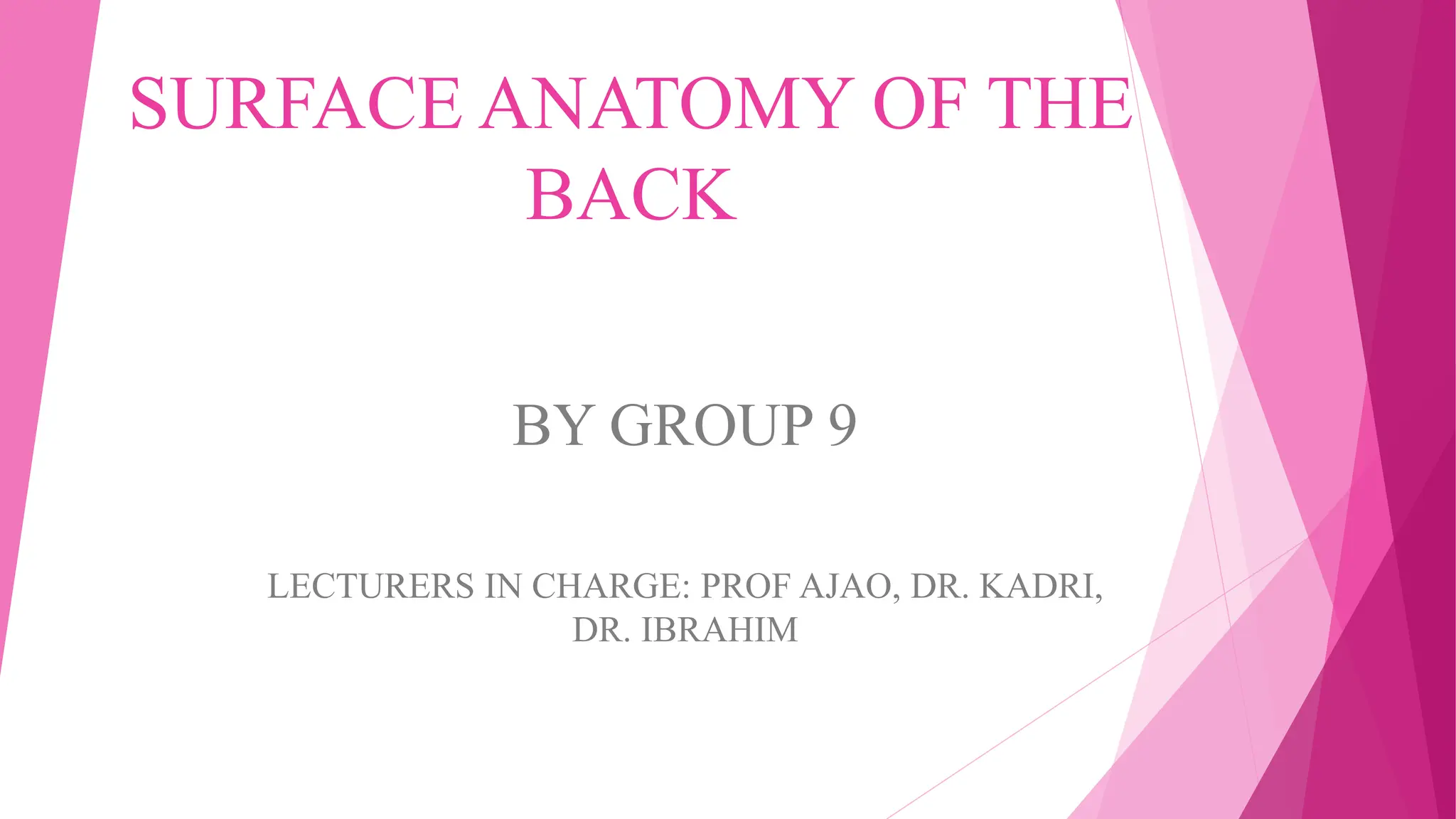 SURFACE ANATOMY OF THE BACK - GROUP 9.pptx