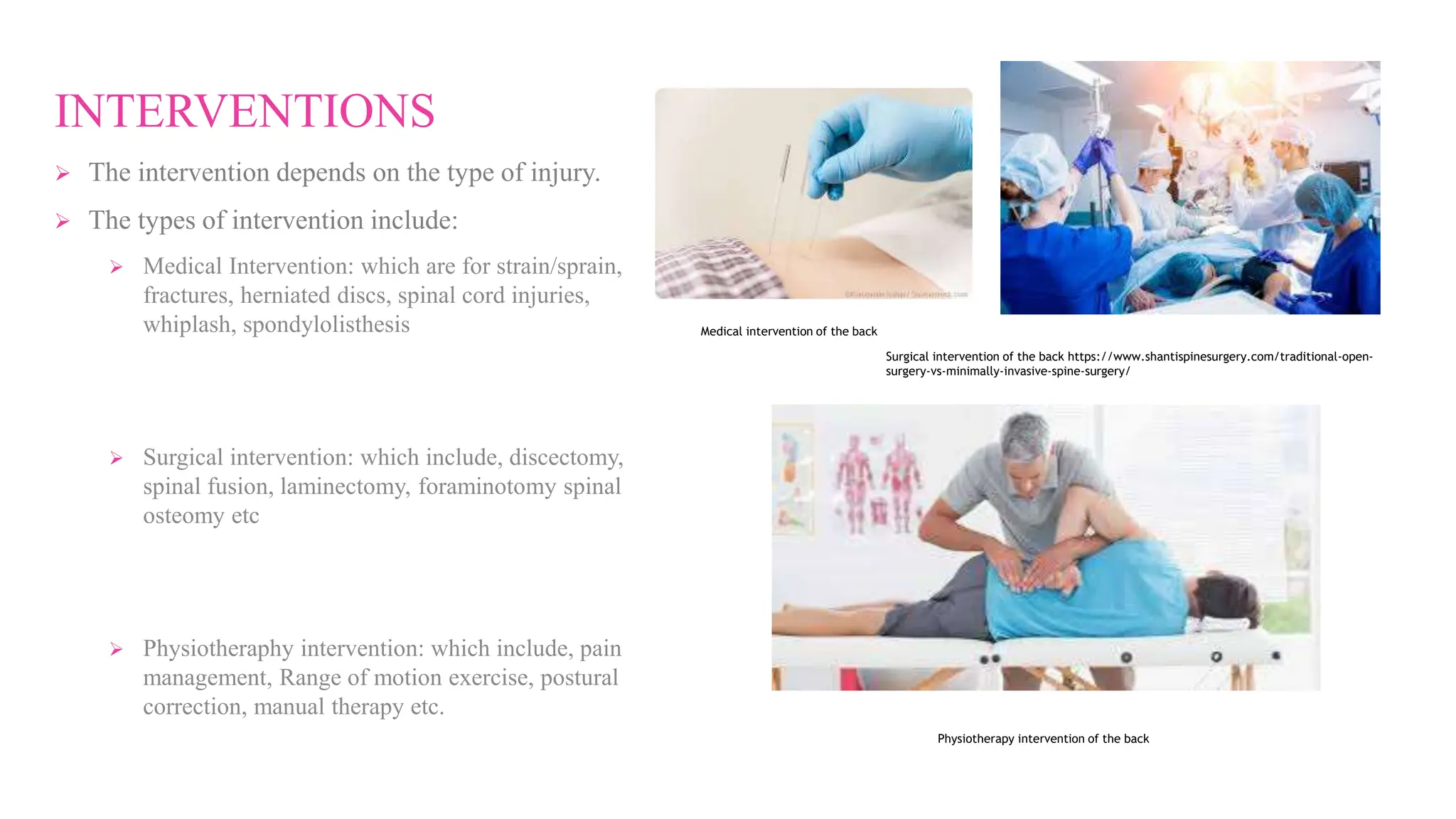 SURFACE ANATOMY OF THE BACK - GROUP 9.pptx