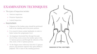 SURFACE ANATOMY OF THE BACK - GROUP 9.pptx