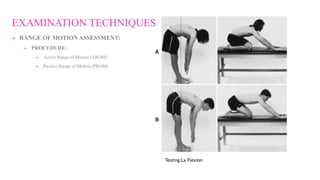 SURFACE ANATOMY OF THE BACK - GROUP 9.pptx