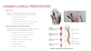 SURFACE ANATOMY OF THE BACK - GROUP 9.pptx