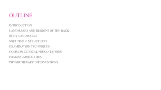 SURFACE ANATOMY OF THE BACK - GROUP 9.pptx