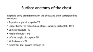 Normal Surface Anatomy of The Chest.pptx