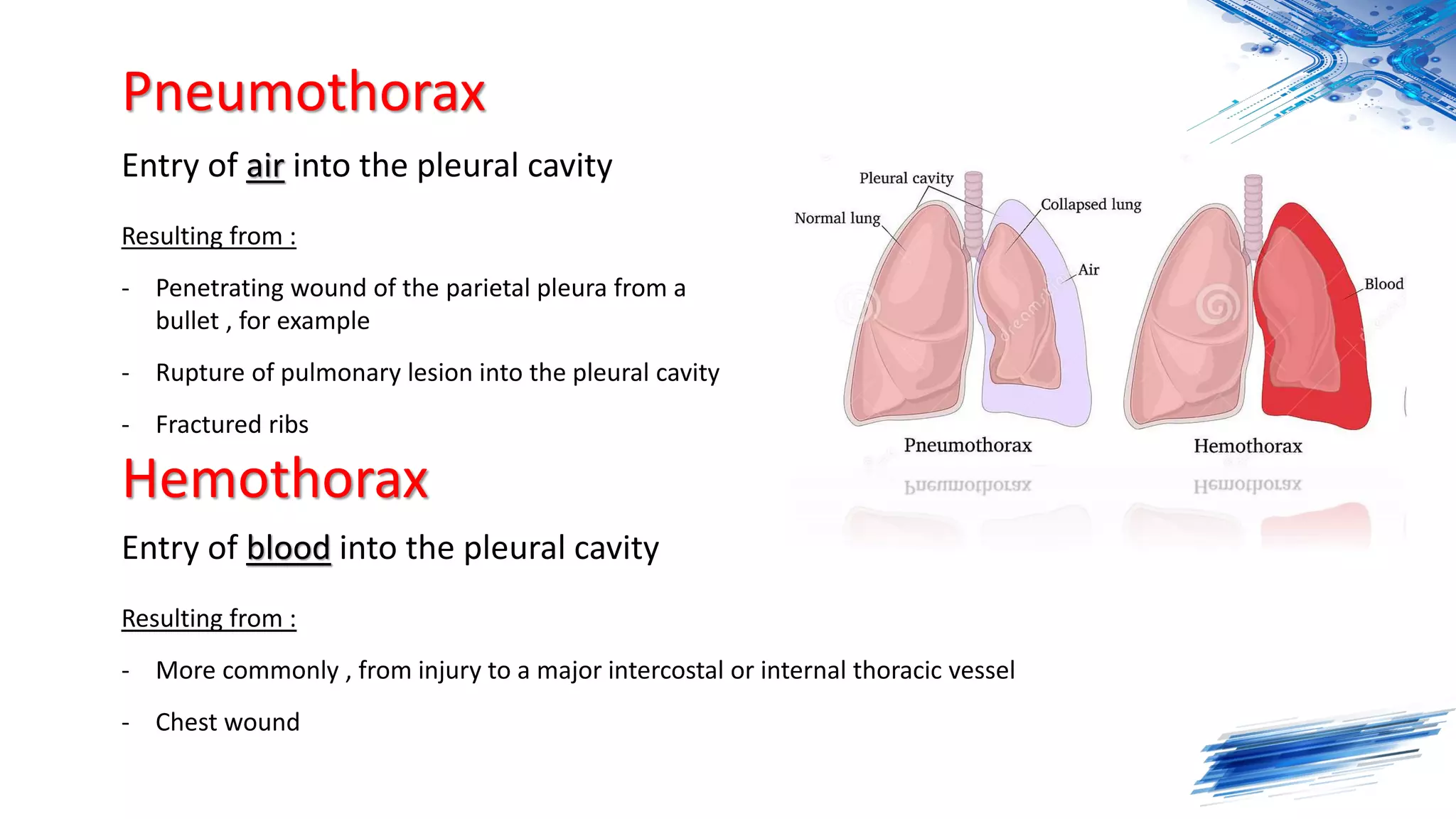 Surface anatomy of the lung and pleura | PDF