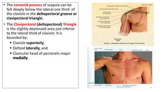 Surface anatomy of upper limb | PPTX