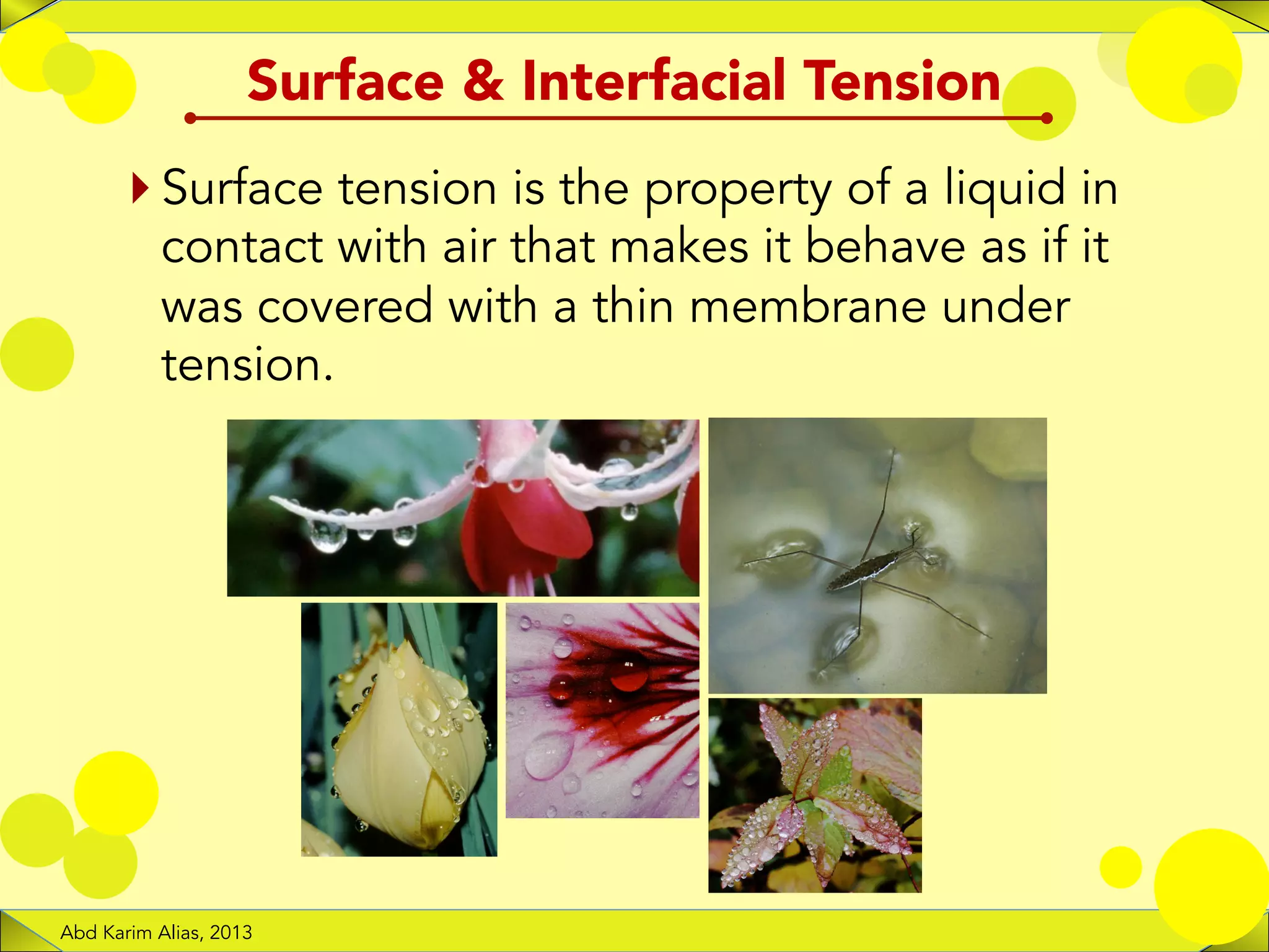 Surface and interfacial tension | PDF