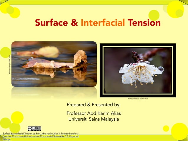 Surface and interfacial tension | PDF | Physics | Science