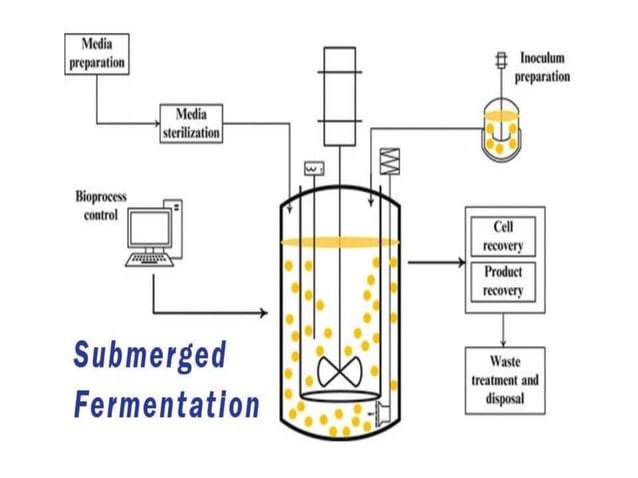 Surface and submerged fermentation | PPT | Chemistry | Science