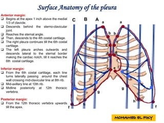 Surface anatomy of heart and lungs | PDF